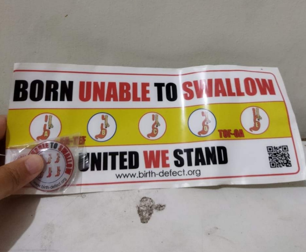 2022 Car Stickers Born Unable to Swallow Ea/Tef – Tof-oa – AE/TEF